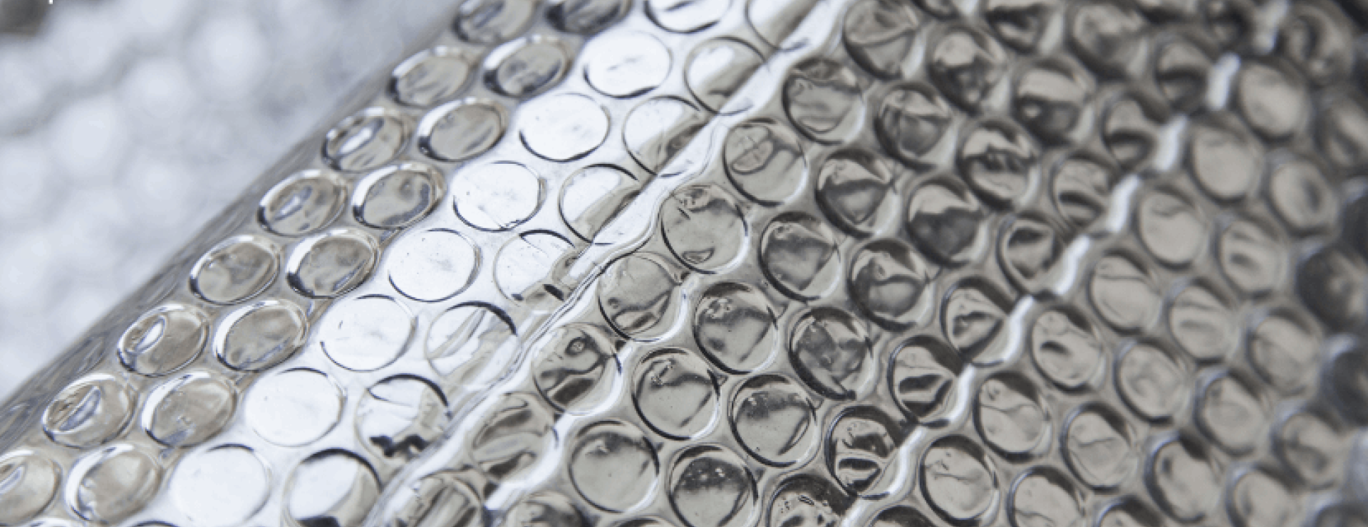 Polynum | דף הבית