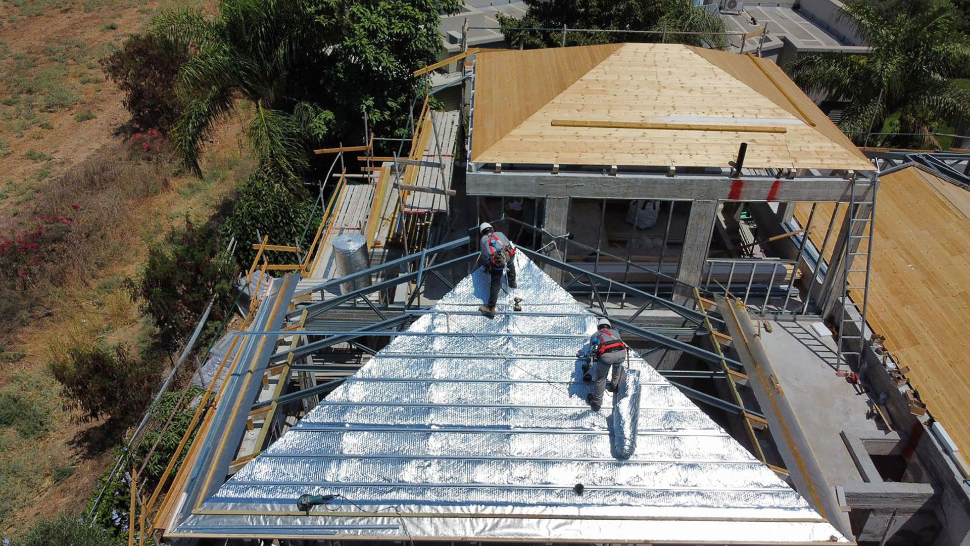 Polynum | דף הבית