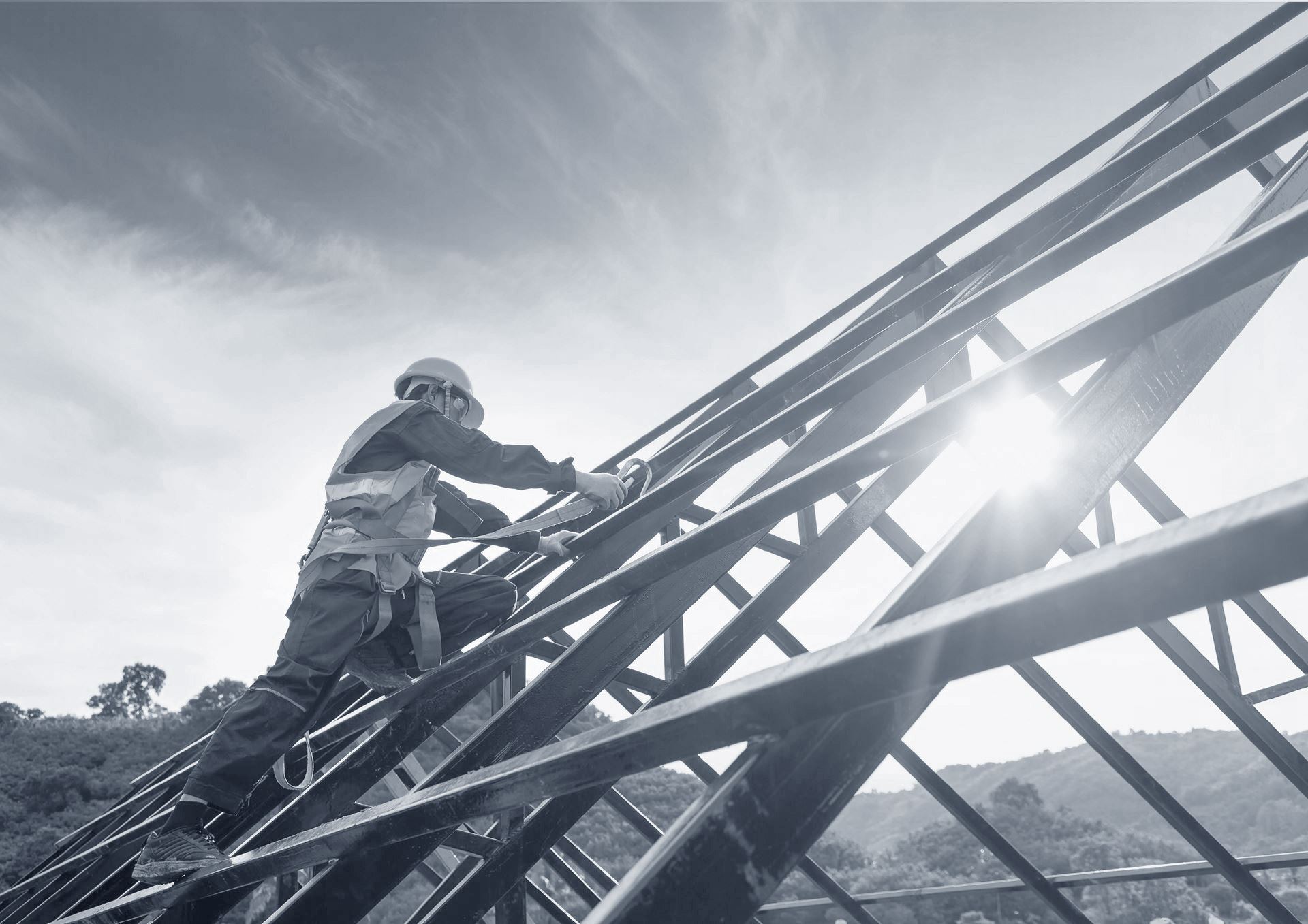 Polynum | דף הבית